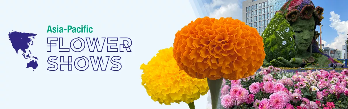 Flower Shows | Syngenta Flowers