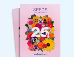 Catalogues | Syngenta Flowers