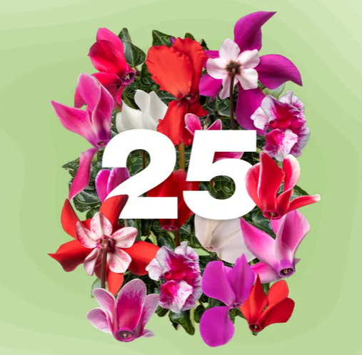 APAC | Syngenta Flowers