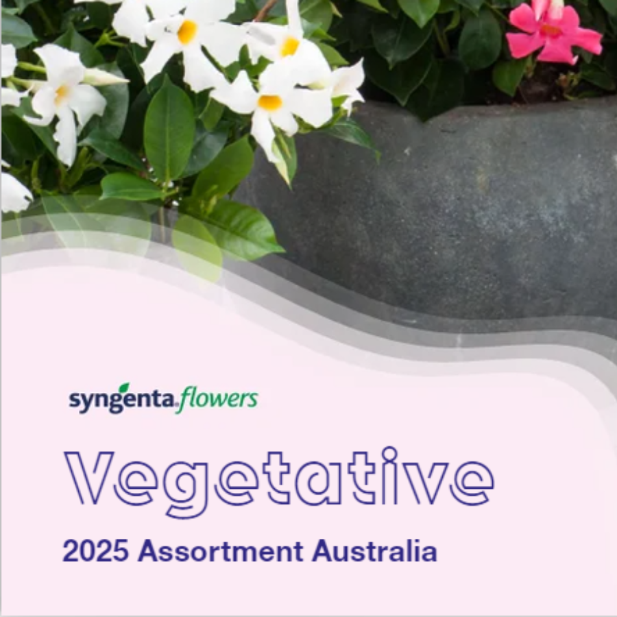 APAC | Syngenta Flowers