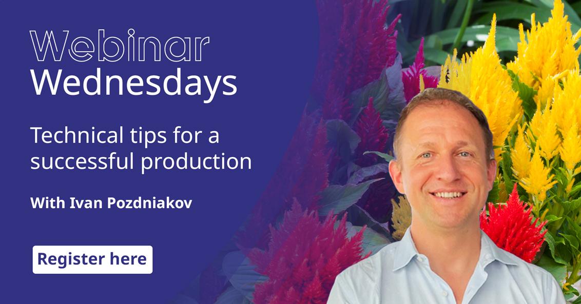 APAC | Syngenta Flowers