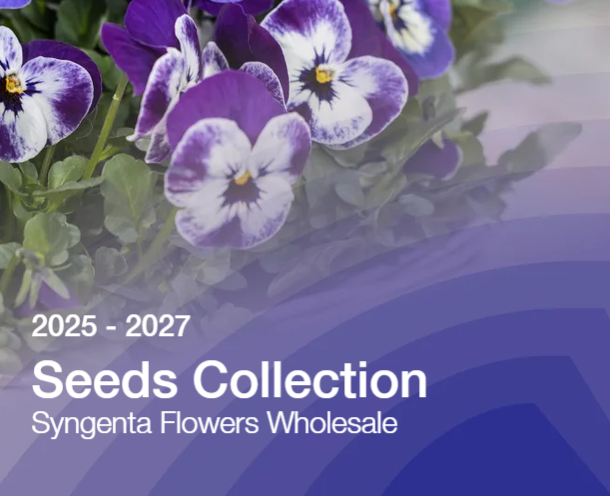 APAC | Syngenta Flowers